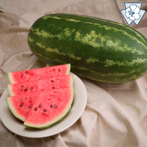 Sandia con Semilla | Latamseeds